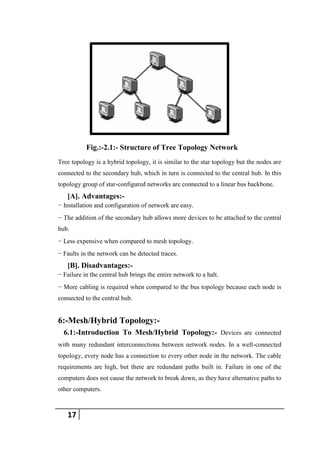 Project report on mesh hybrid topology network vision | PDF