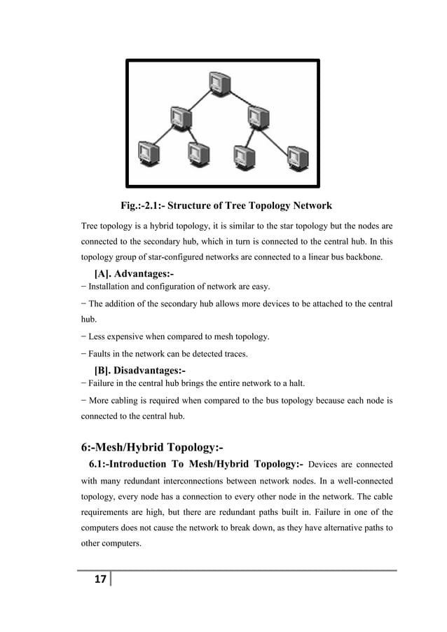 Project Report On Mesh Hybrid Topology Network Vision Pdf Computer Networking Computing