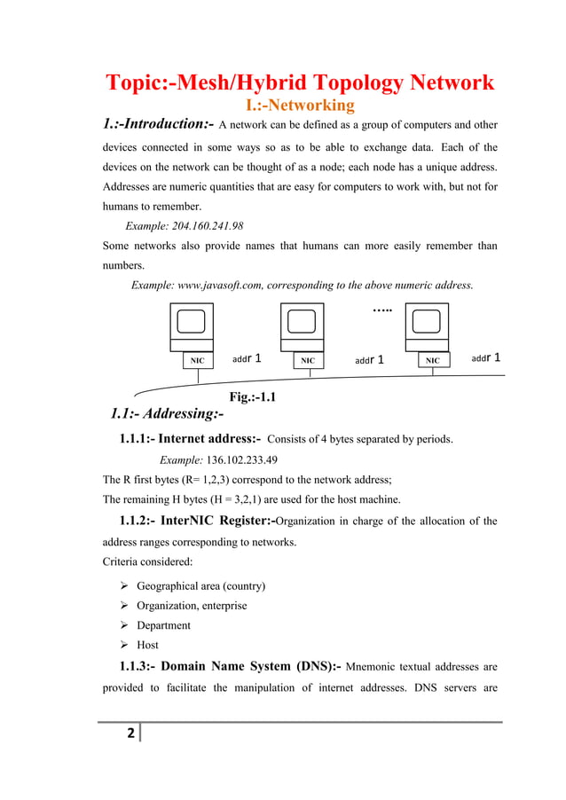 Project Report On Mesh Hybrid Topology Network Vision Pdf Computer Networking Computing