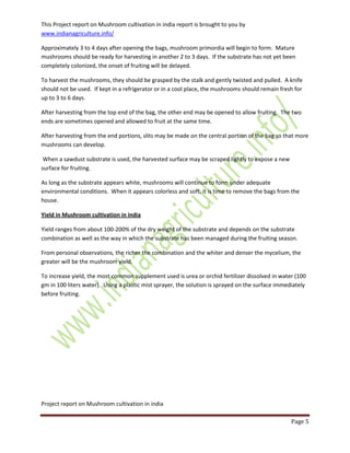 Project report on mushroom cultivation in india | Oyster Mushroom ...