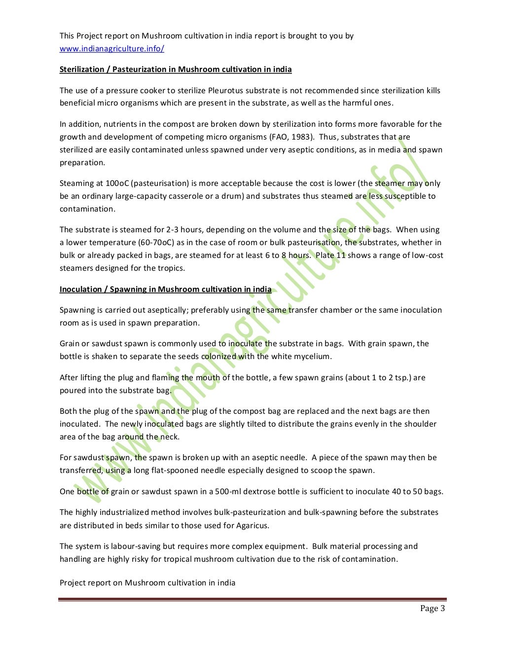 Project report on mushroom cultivation in india | Oyster Mushroom Cul…