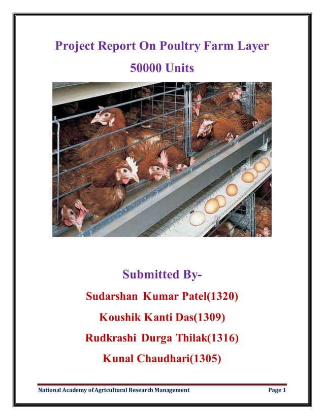 Project report on poultry farm layer | DOCX
