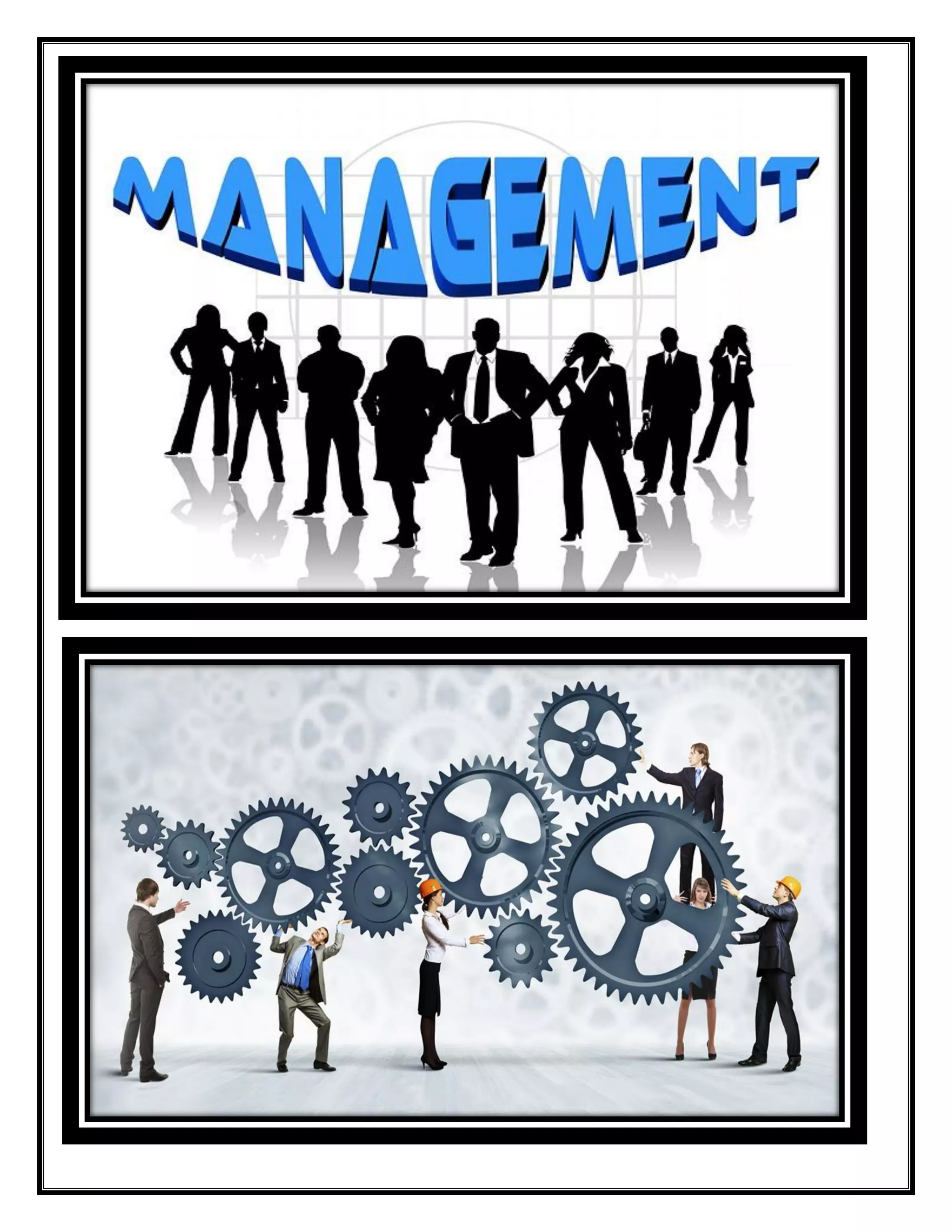 BUSINESS STUDIES PROJECT ON PRINCIPLES OF MANAGEMENT | PDF