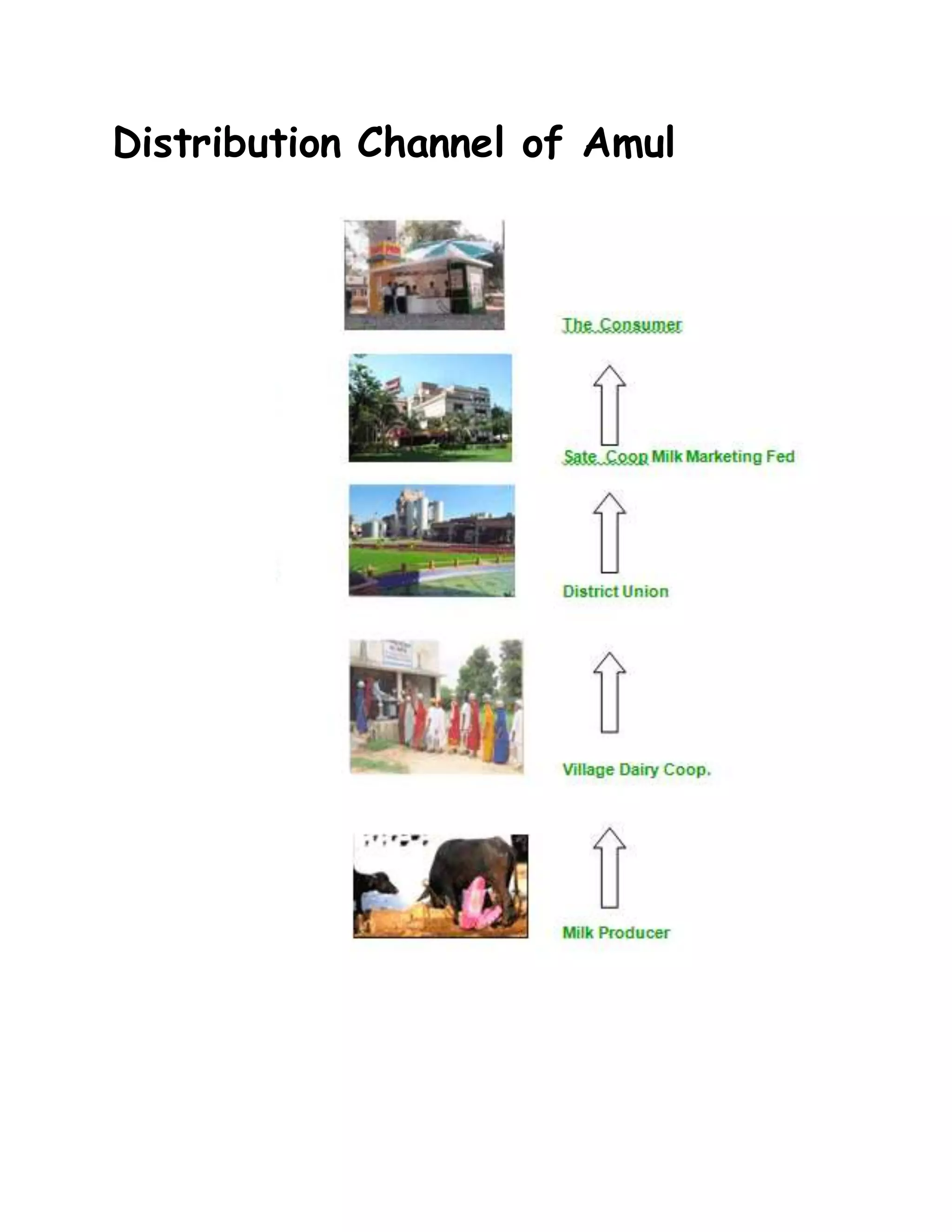 Amul Project report pppp | DOCX