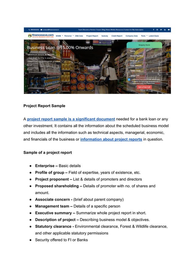 Project Report Sample | PDF