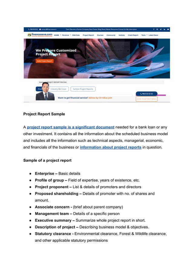 Project Report Sample | PDF | Business | Business and Finance