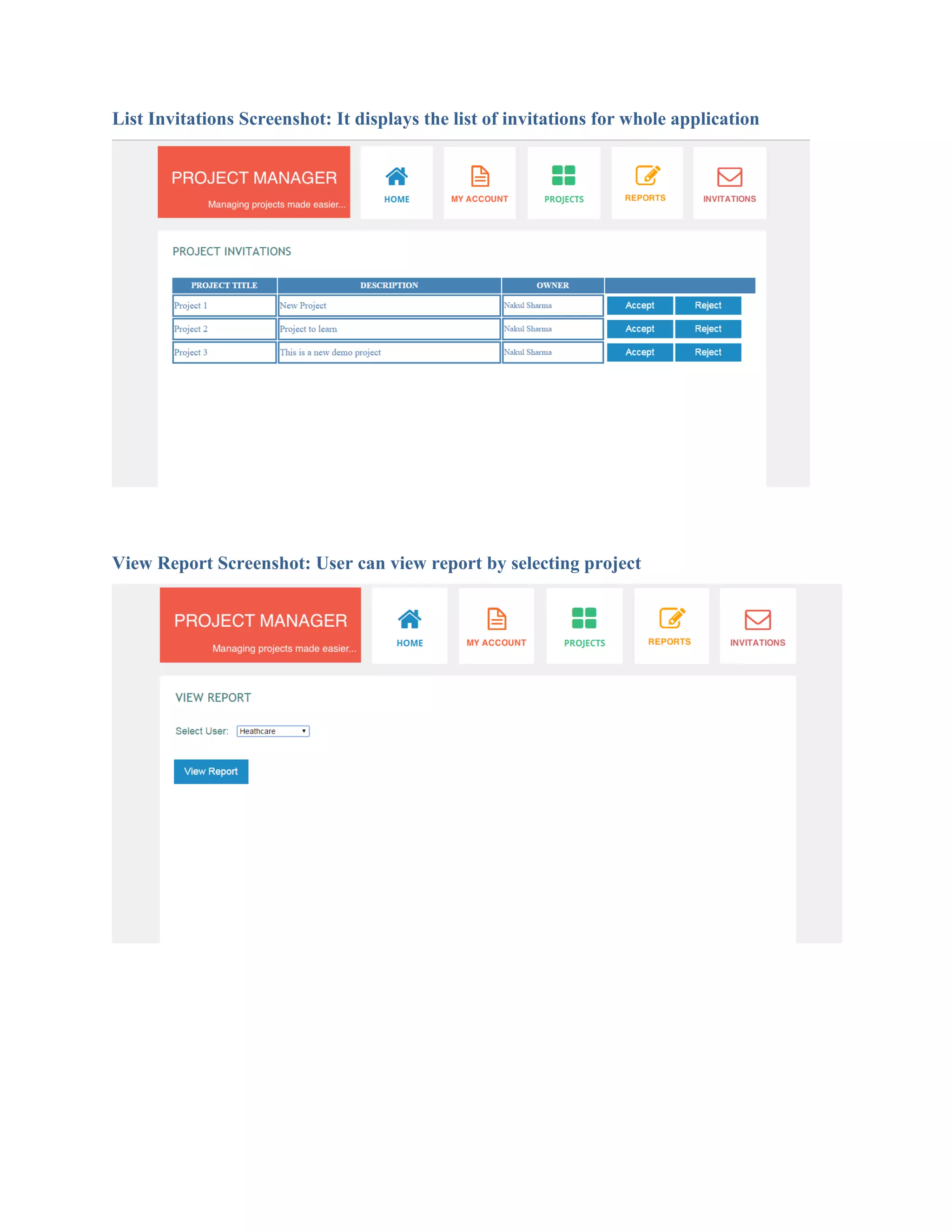 Project Management - Web Application Report | PDF