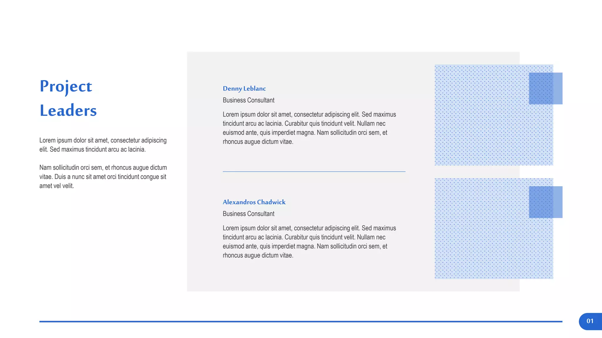 Project Review Presentation Template – Status.ppt