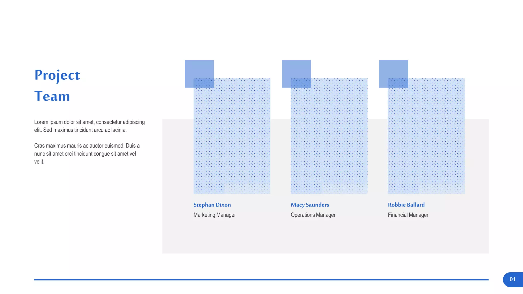 Project Review Presentation Template – Status.ppt
