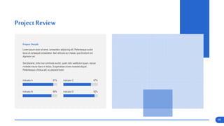 Project Review Presentation Template – Status.ppt