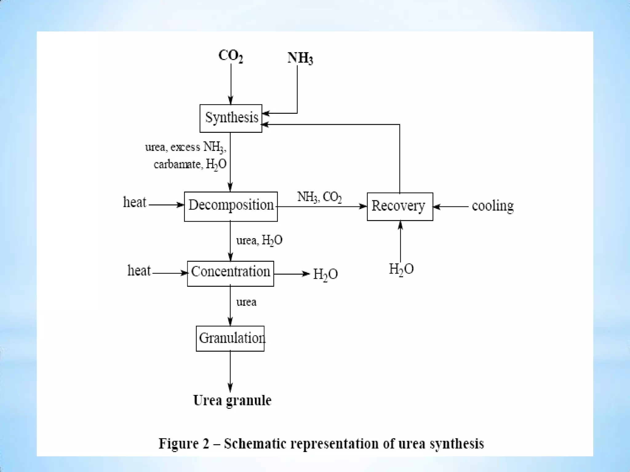 Process Simulation of Urea Plant | PPTX