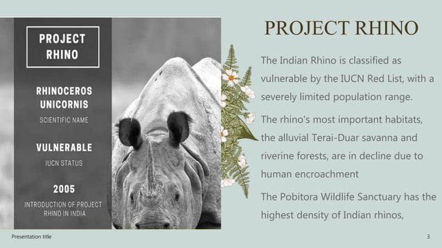 PROJECT RINO PROJECT RINO PROJECT RINO PROJECT RINO | PPT