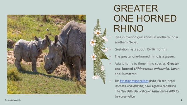 PROJECT RINO PROJECT RINO PROJECT RINO PROJECT RINO | PPT