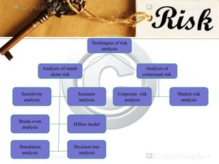 Project risk analysis | PPTX