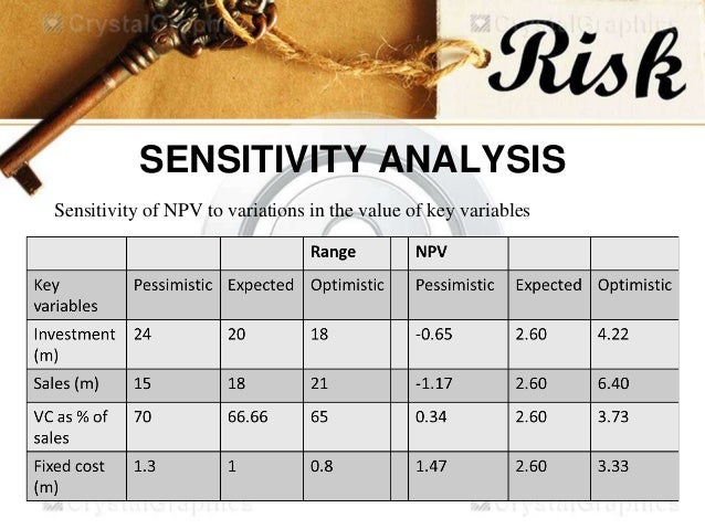Project risk analysis