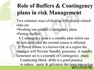Project Risk Management | PDF