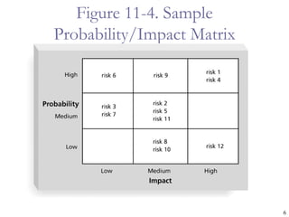Project risk management | PPT