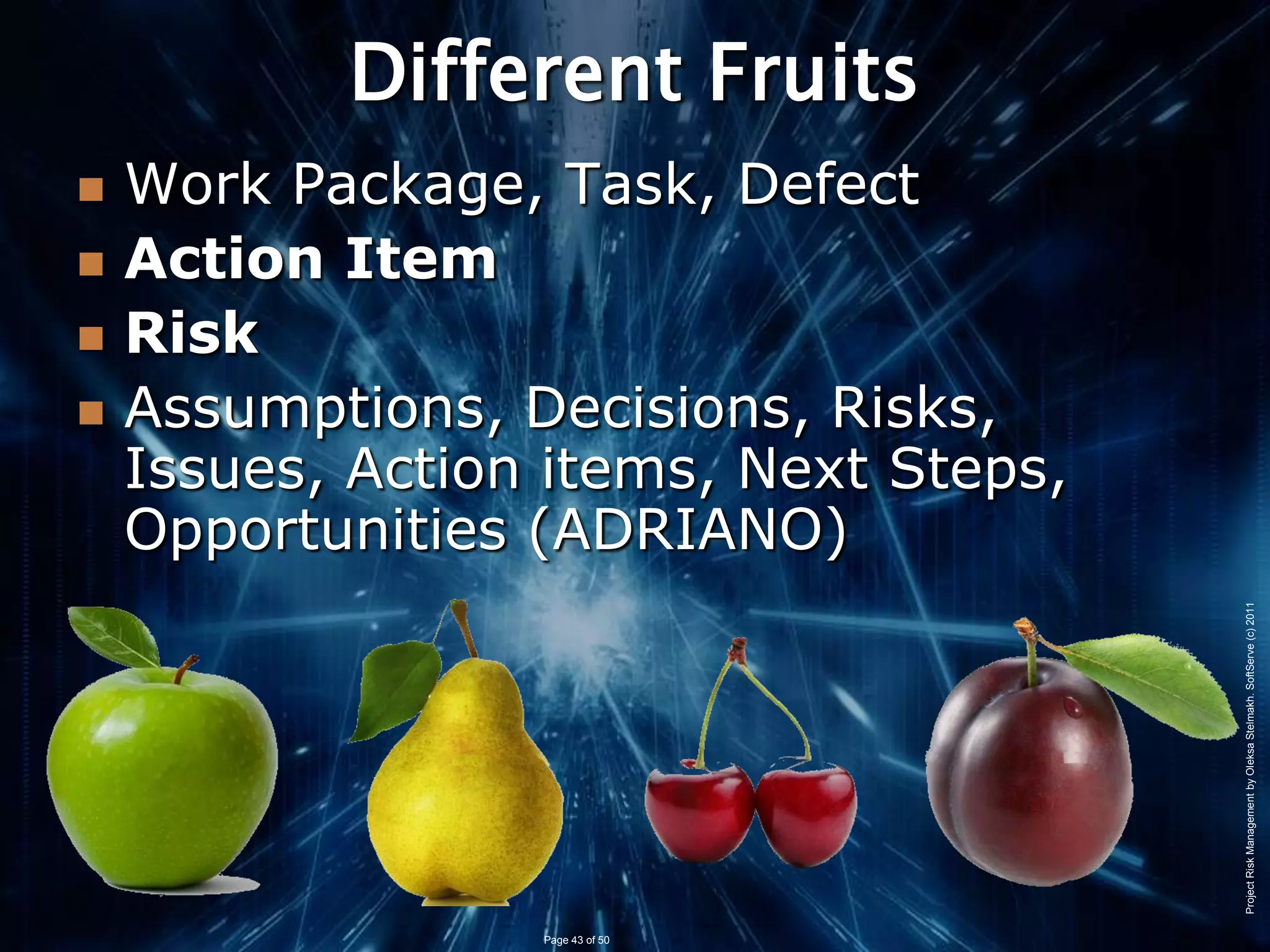 Project Risk Management | PPTX