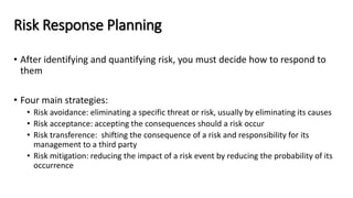 Project Risk Management | PPTX