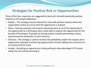 Project risk management | PPTX