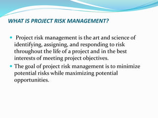 Project risk management: Techniques and strategies | PPT