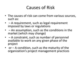 Project risk management | PPT