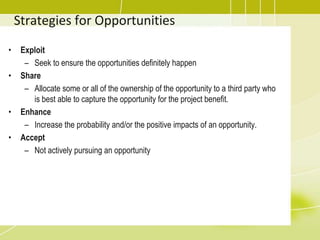 PROJECT RISK MANAGEMENT.pdf