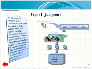 Project risk management focus on risk identification techniques | PPT