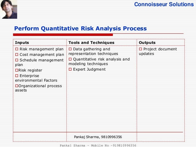 PMBOK Risk Management Plan Template
