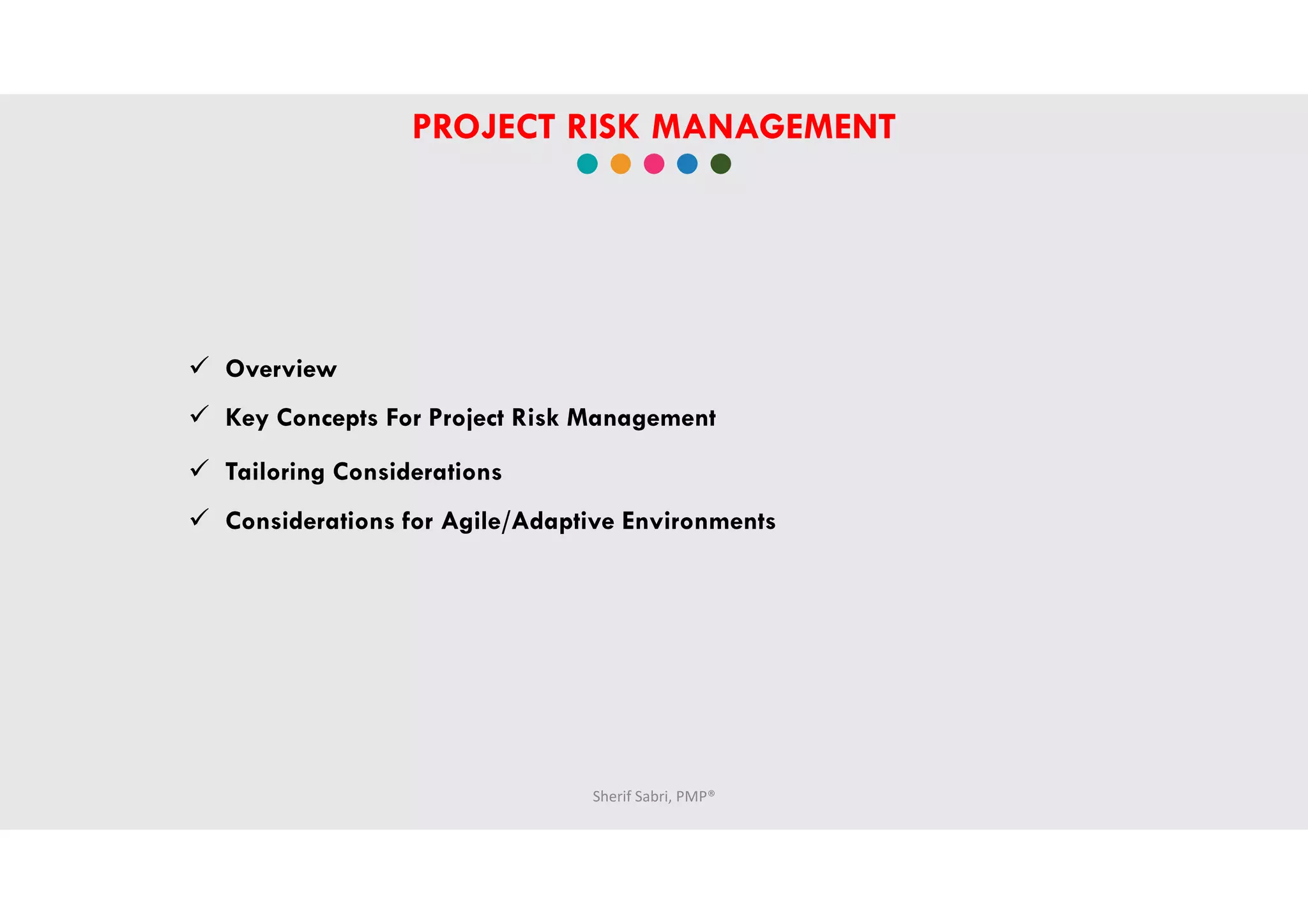 Project risk management overview | PPT