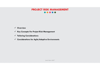 Project risk management overview | PPT
