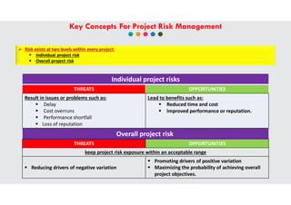 Project risk management overview | PPT