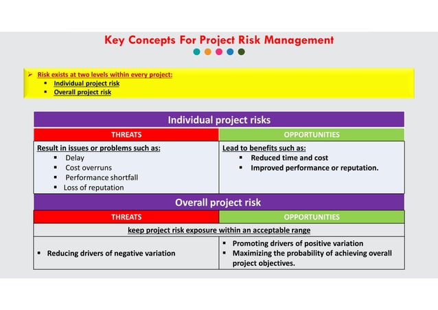Project risk management overview | PPT