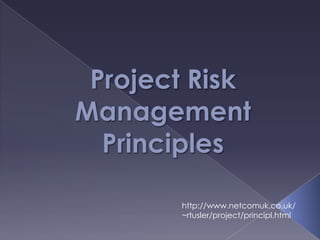 Project risk management principles | PPTX | Personal Finance