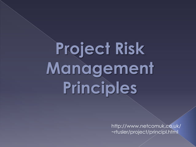 Project risk management principles | PPTX | Personal Finance