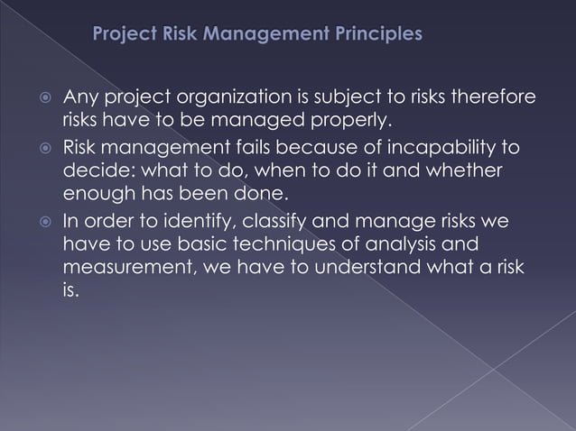 Project risk management principles | PPTX | Personal Finance