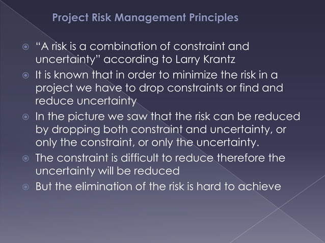 Project risk management principles | PPTX | Personal Finance