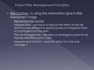 Project risk management principles | PPTX | Personal Finance