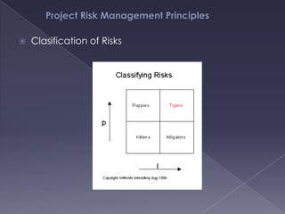 Project risk management principles | PPTX | Personal Finance