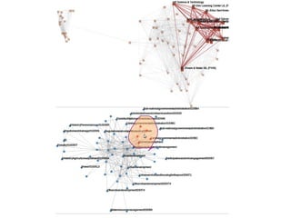 Network analysis applied to project risks identification | PDF