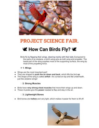 PROJECT SCIENCE FAIR How do birds can fly?..docx