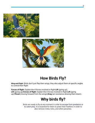 PROJECT SCIENCE FAIR How do birds can fly?..docx