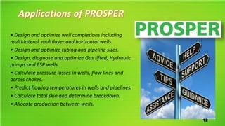 Horizontal Well Performance Optimization Analysis | PPTX