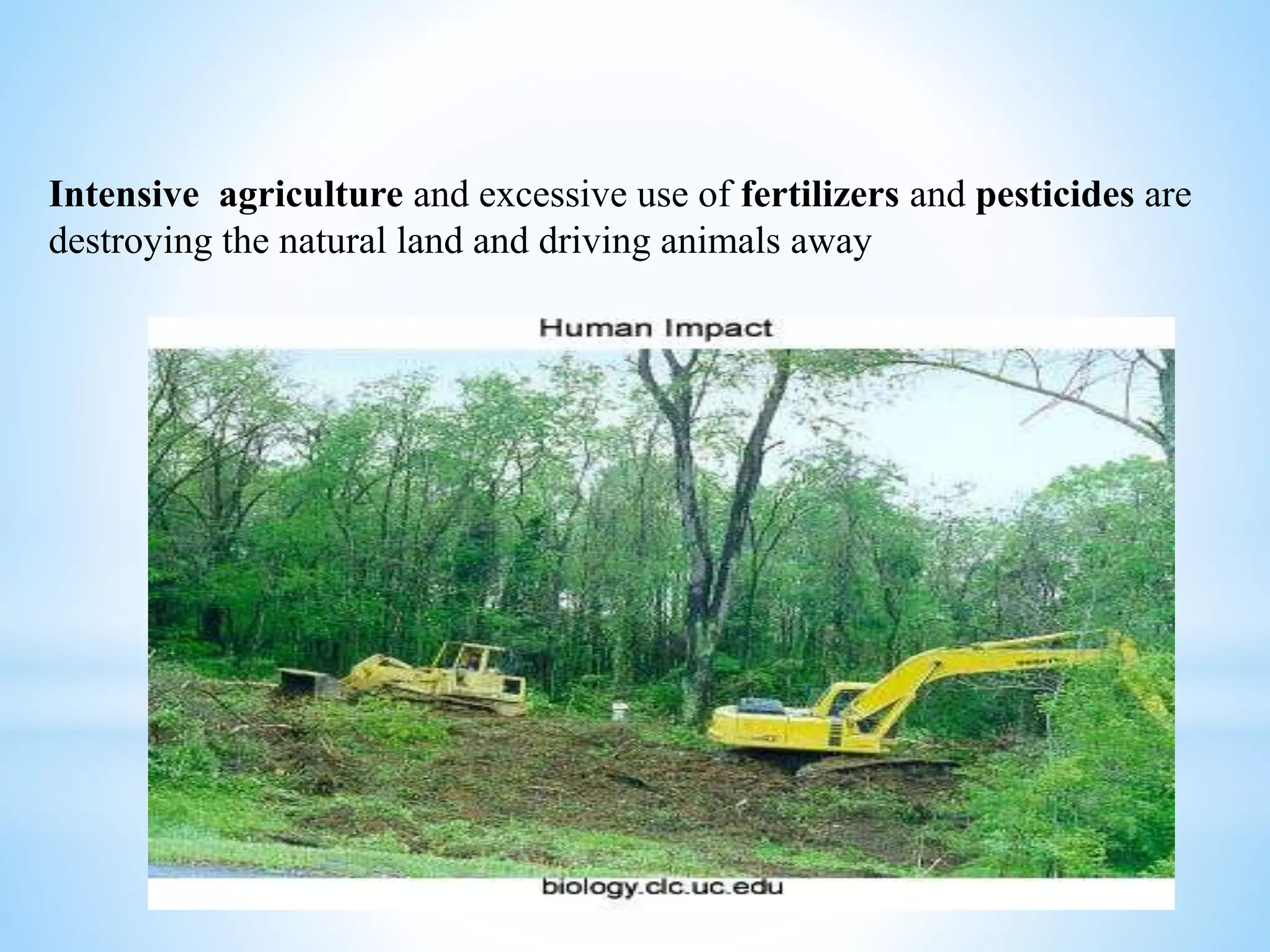 human impact on the natural environment. | PPTX