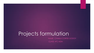 Projects formulation CAMILA CORTES 4C ADM.pptx