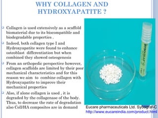collagen | PPT | Bone and Joint Conditions | Diseases and Conditions