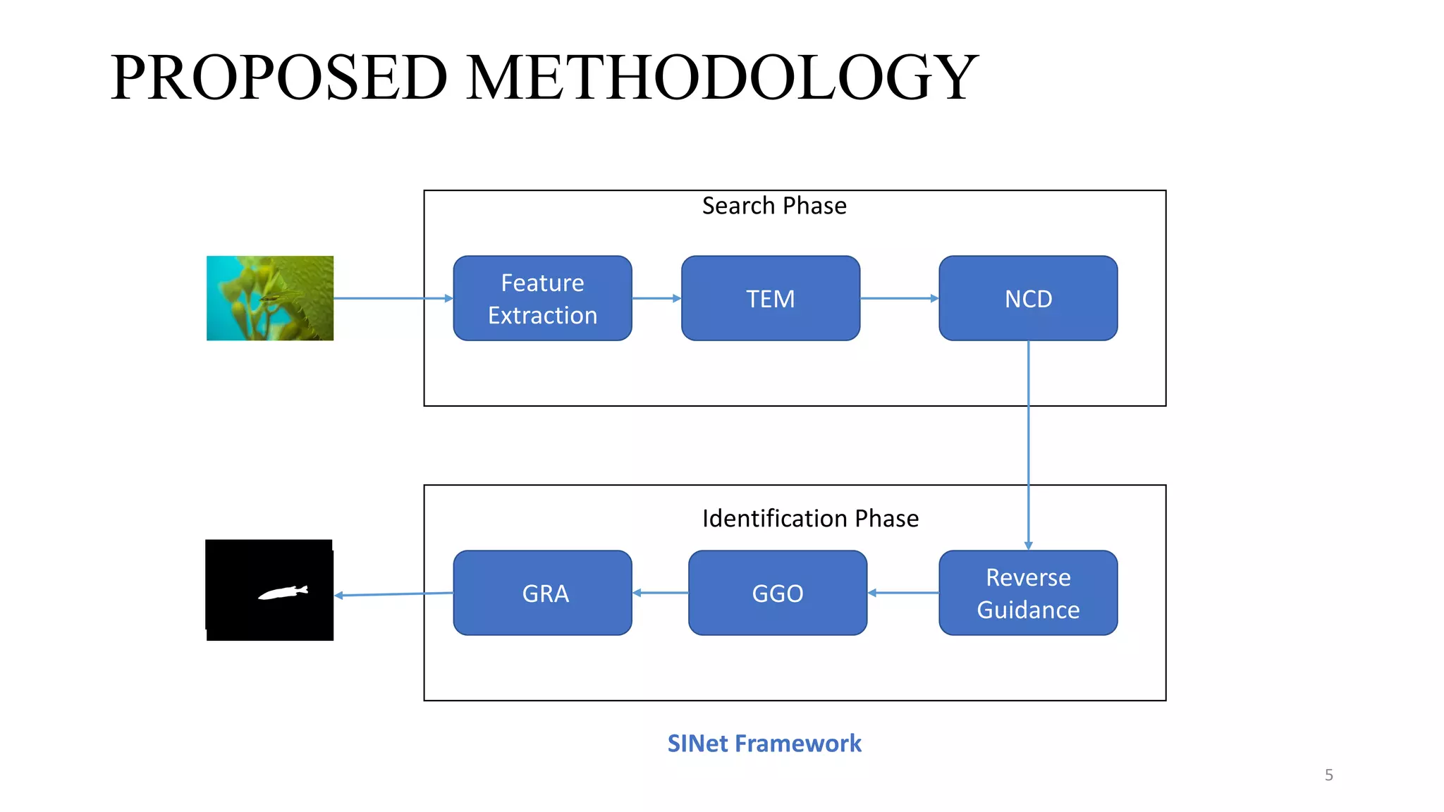 Concealed Object Recognition Ppt