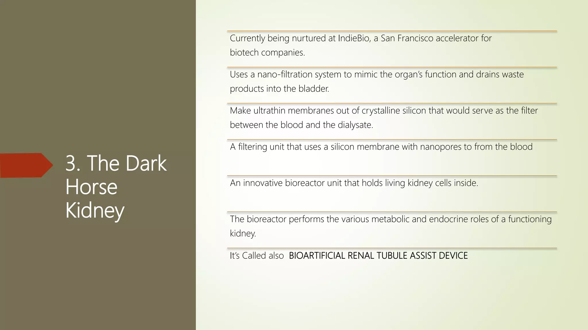 Bioartificial Kidney Project skt dr keniz | PPTX