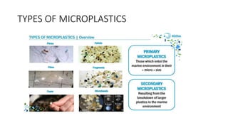 (PROJECT SLIDE)REMOVAL OF MICROPLASTICS.pptx