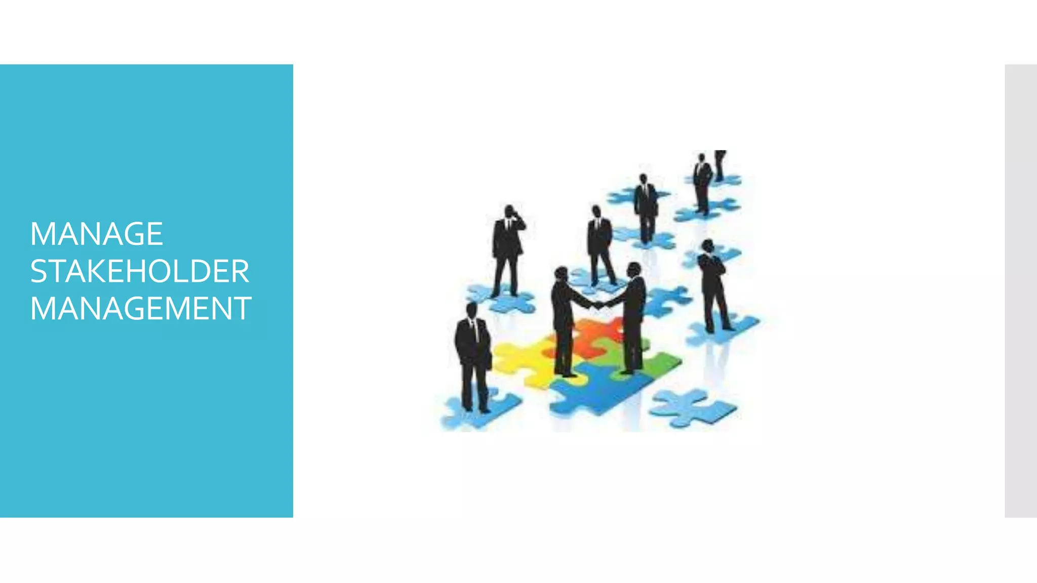 Project stakeholder management | PPTX